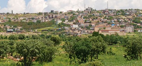 Nameyê Mehla, Dew û Mezrayanê Karazî